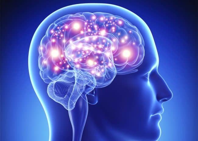 How THC in cannabis affects your brain | THC Cannabis