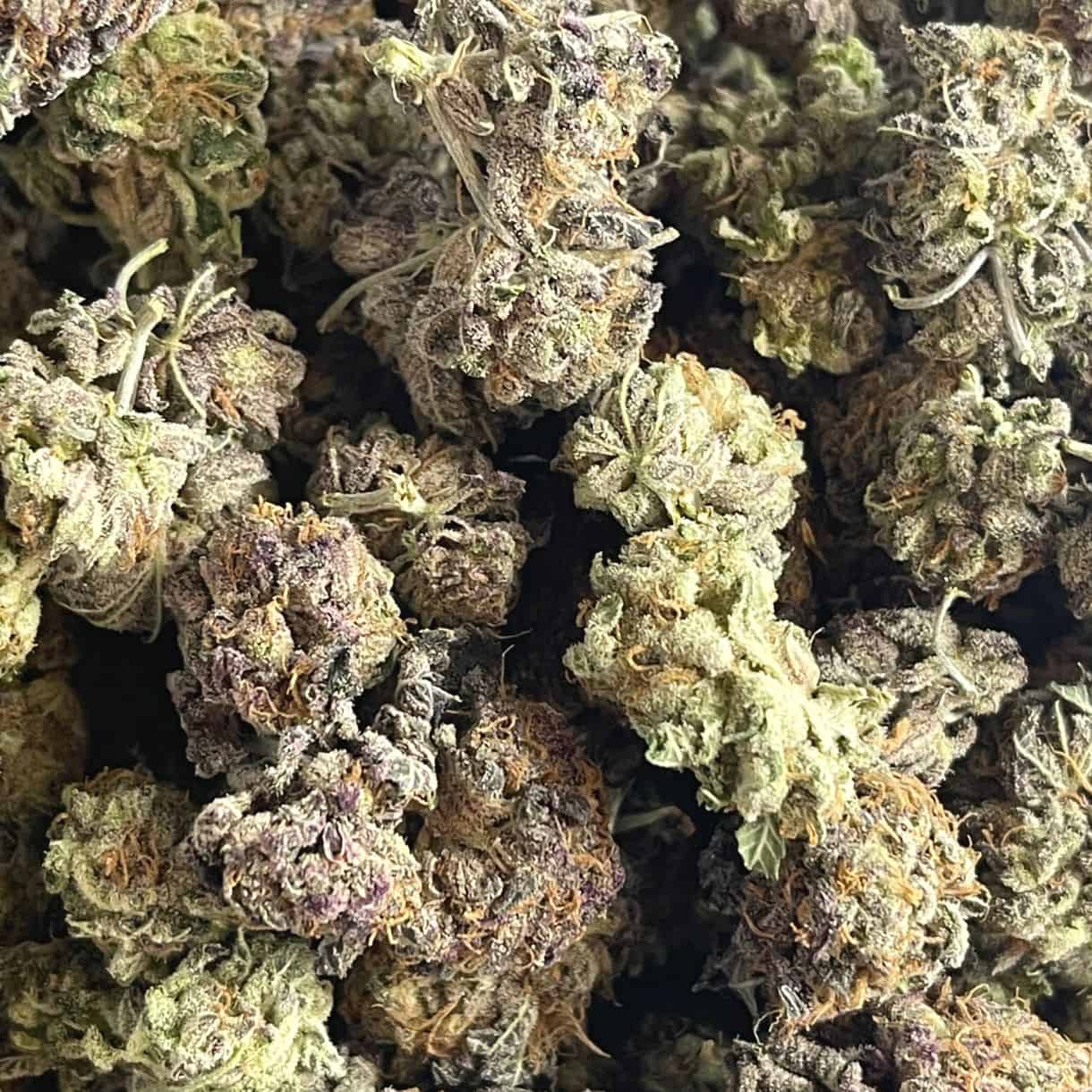 Bulk Indica Flower - Premium Quality Selection