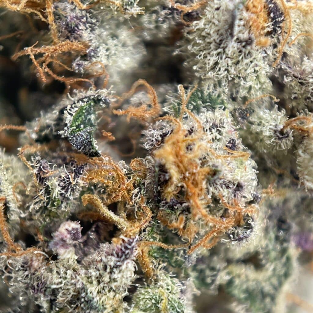 28gr Platinum Kush Breath Indica Aaa King Tuts